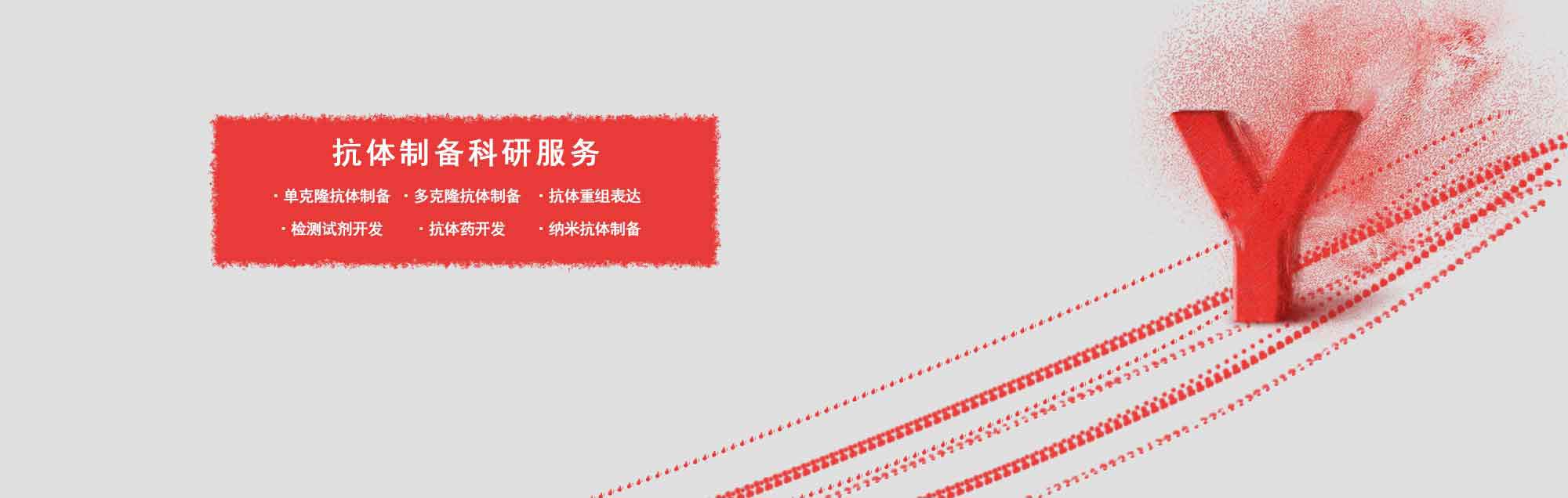 抗体制备服务 抗体生产 单 多抗定制 钟鼎生物公司